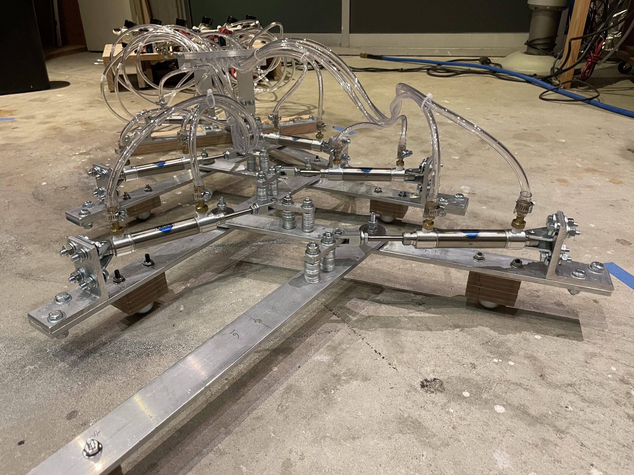 Frog Leg - Articulated Movement